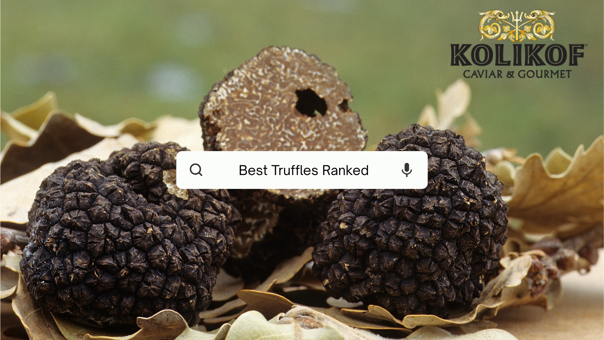 Top 7 Best Truffles Ranked by Flavor, Rarity & Pairing – Kolikof ...