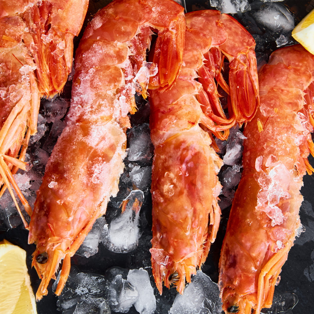 Grilled Spanish Red Carabineros Jumbo Prawns with Garlic and Lemon ...