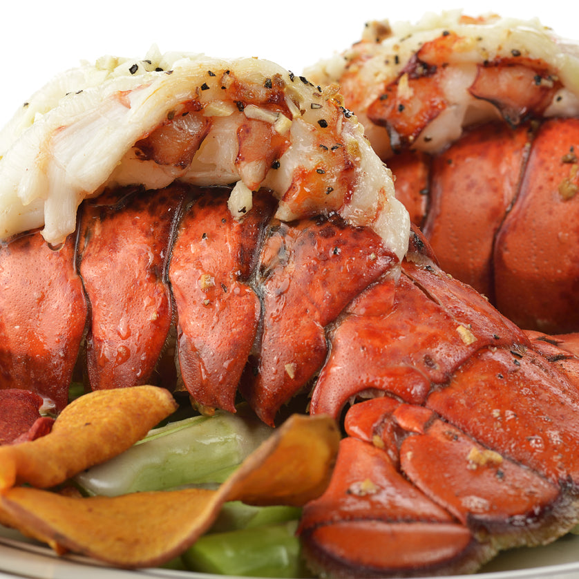 Giant Cooked Lobster