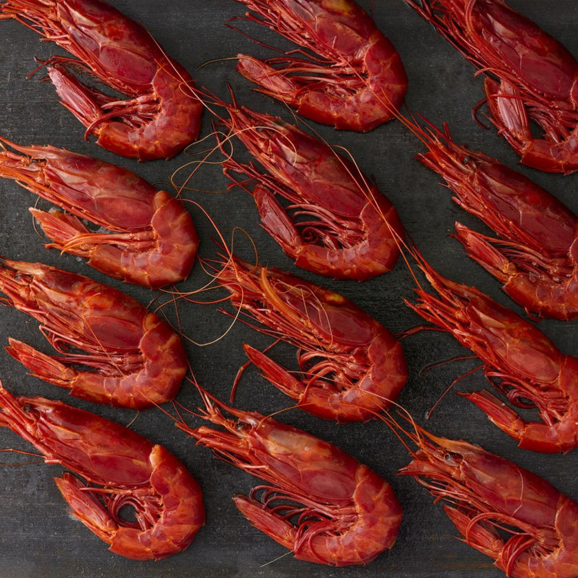 Spanish Red Carabineros Jumbo Prawns | Order Prawns Online at Kolikof ...